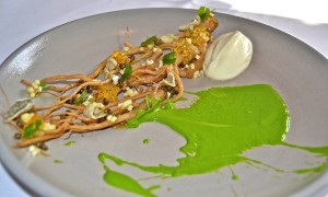 Essbare Algen - Superfood aus dem Meer - Über Kelp, Wakame, Nori